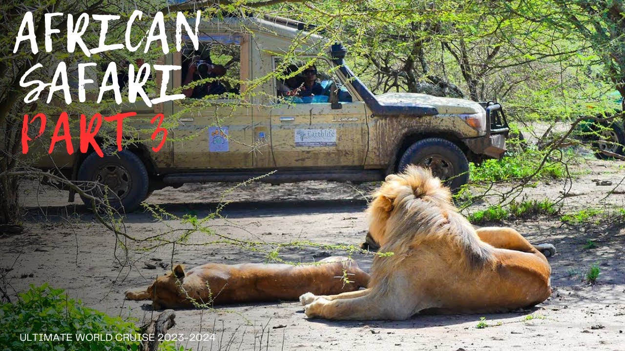 A South African Safari with Jeff Garwood | Wildlife Documentary - Part ...
