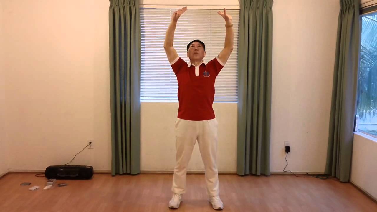 Lin Housheng Shibashi Movement Sample 4 - YouTube