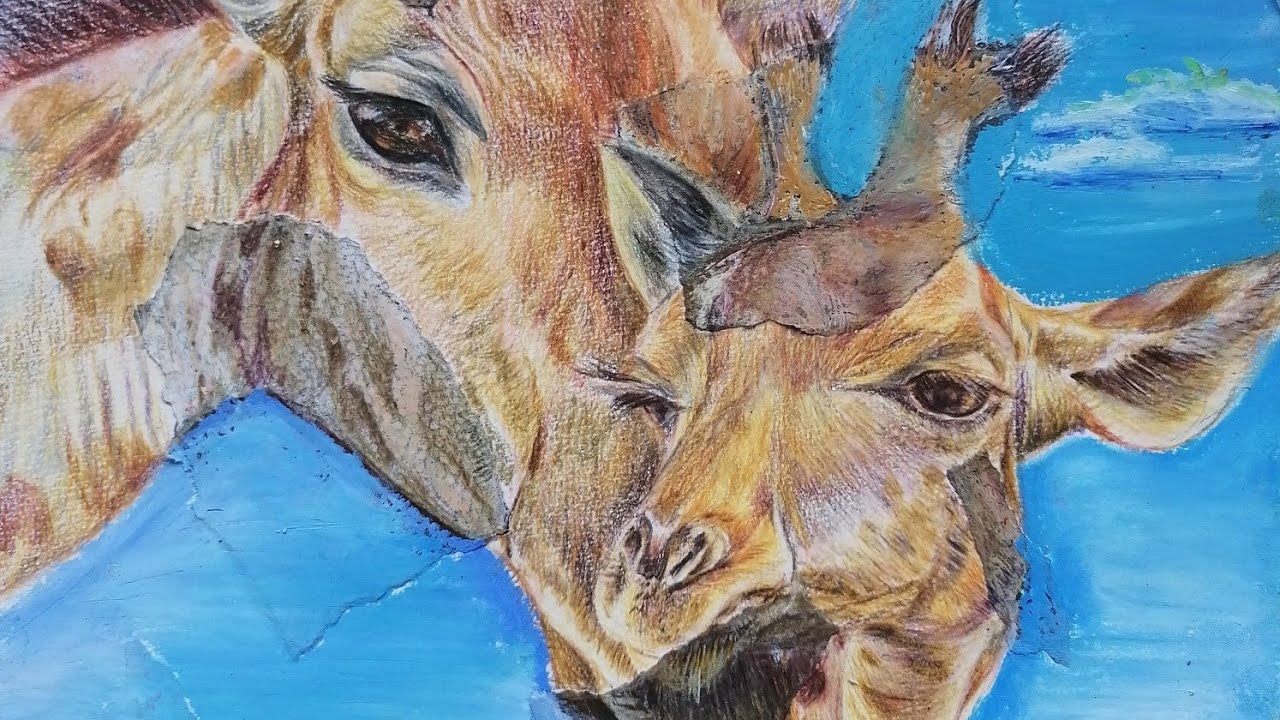 How drawing Girafes by colors pencils - YouTube