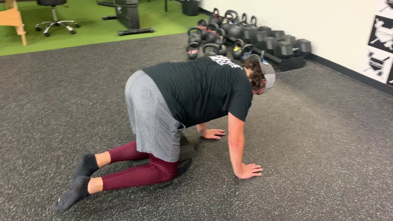 Quadruped Pelvic Rotations - YouTube