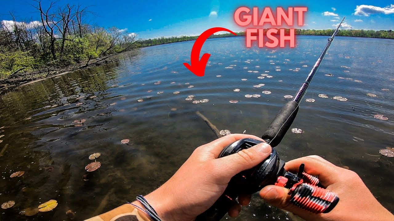 Catching GIANT FISH in CITY DRINKING Water! (Biggest Fish?) - YouTube