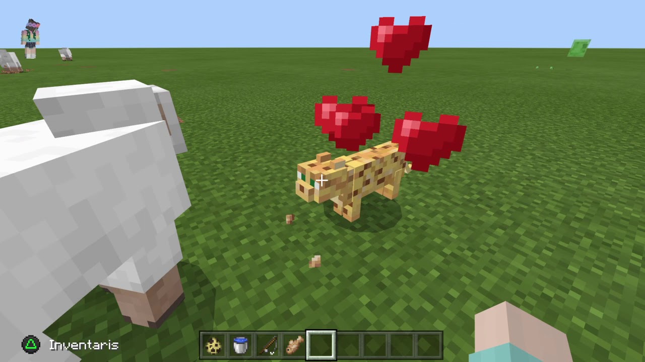 Minecraft ?BB - YouTube