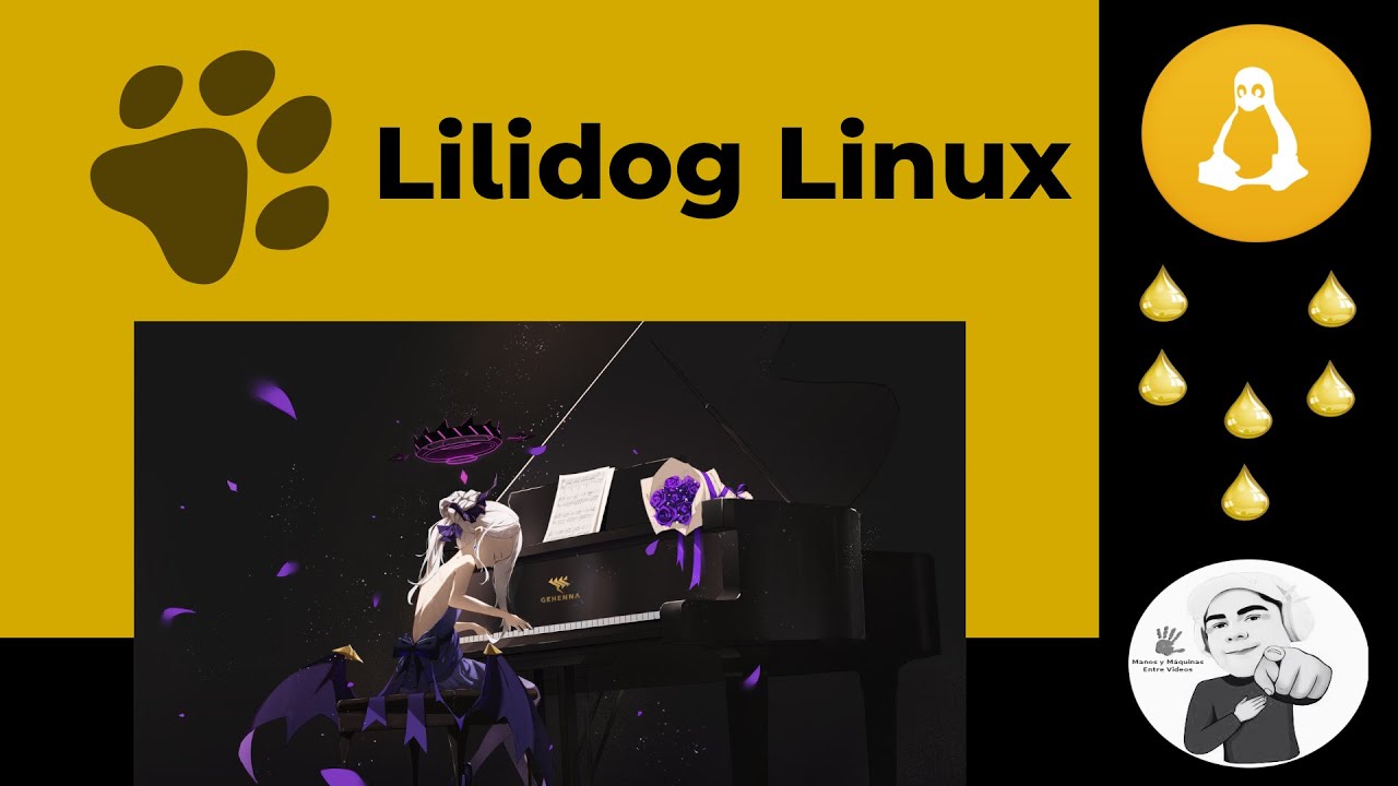 Lilidog Linux quiere ser el Openbox definitivo en Debian 12 - YouTube
