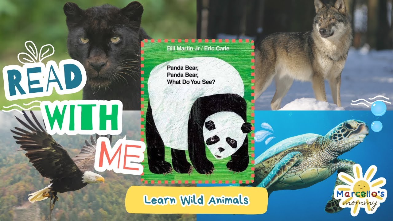 Panda Bear, Panda Bear, What Do You See? | Storytime | Wild Animals ...