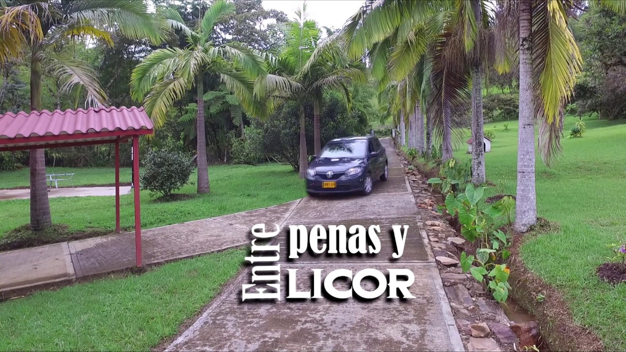 Alex Morera - Entre penas y licor (Video Oficial) - YouTube