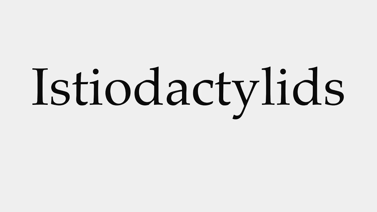 How to Pronounce Istiodactylids - YouTube