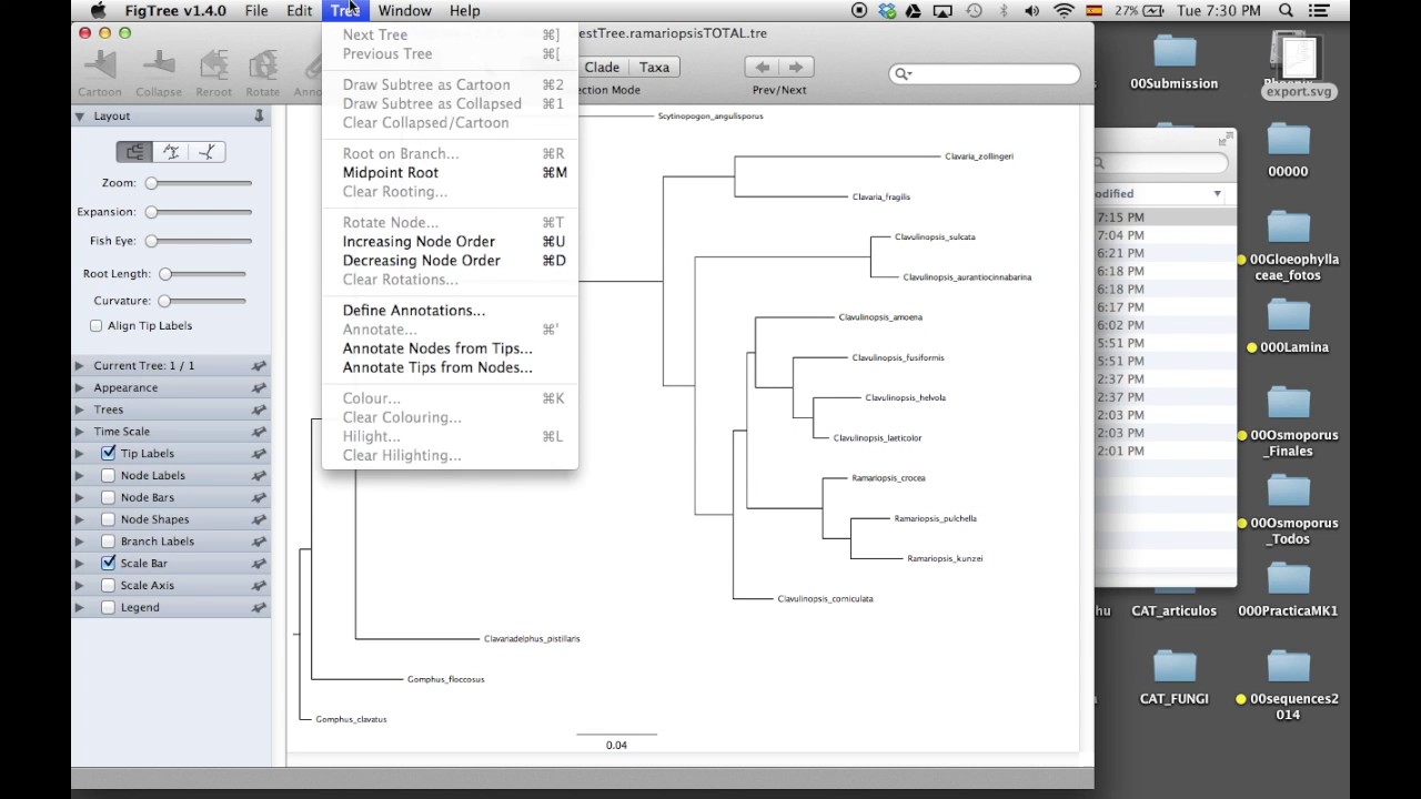 Fig Tree Generalidades - YouTube