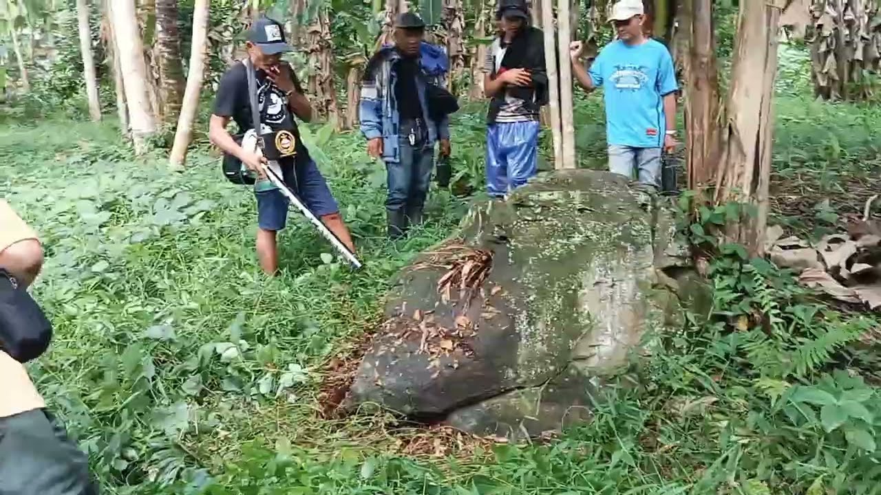 Frog treasure sign - YouTube