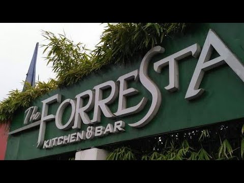 Forresta Kitchen and Bar Jaipur || Valentine Party || 14th February ...
