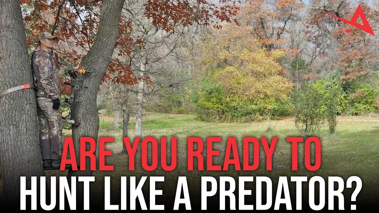 Why you need the Apex Predator Tree Stand - YouTube