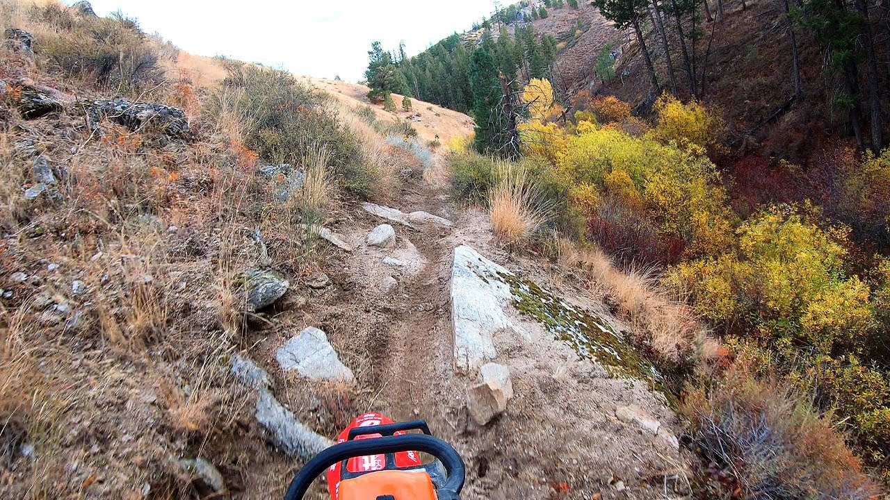 Danskin Mountains Single Track Trail 510 - YouTube