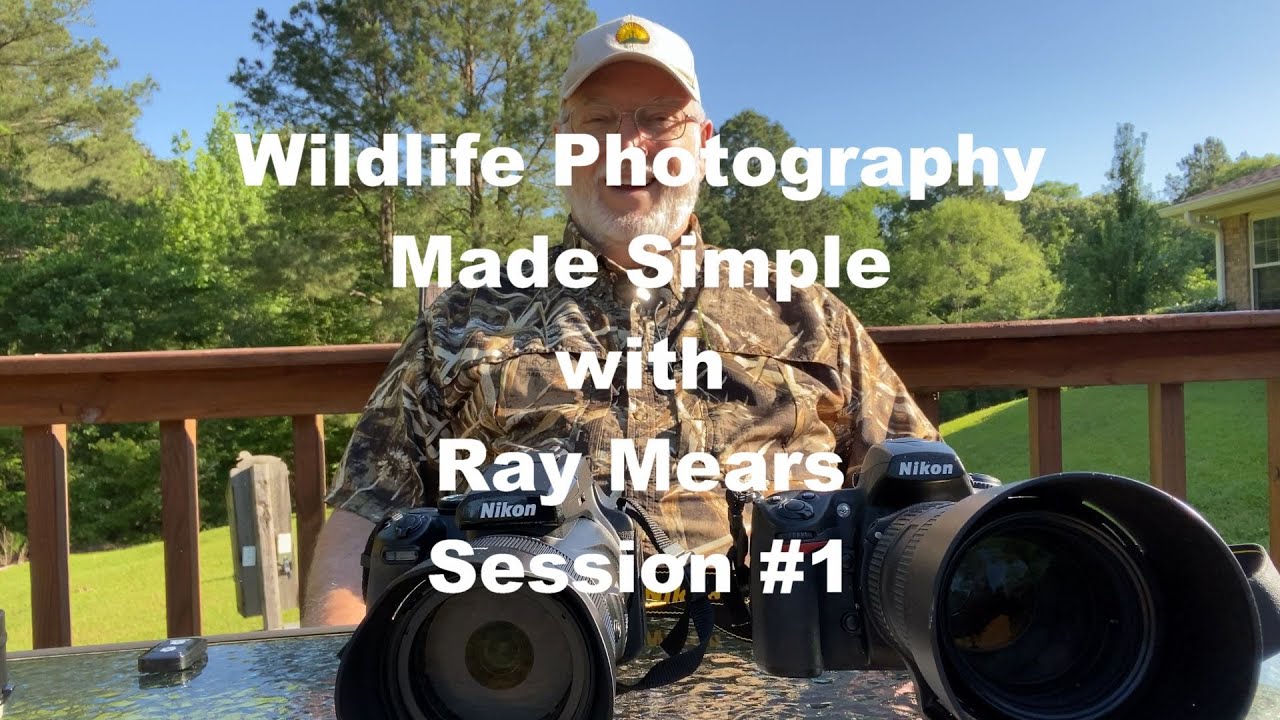 Wildlife Photography Made Simple with Ray Mears - YouTube