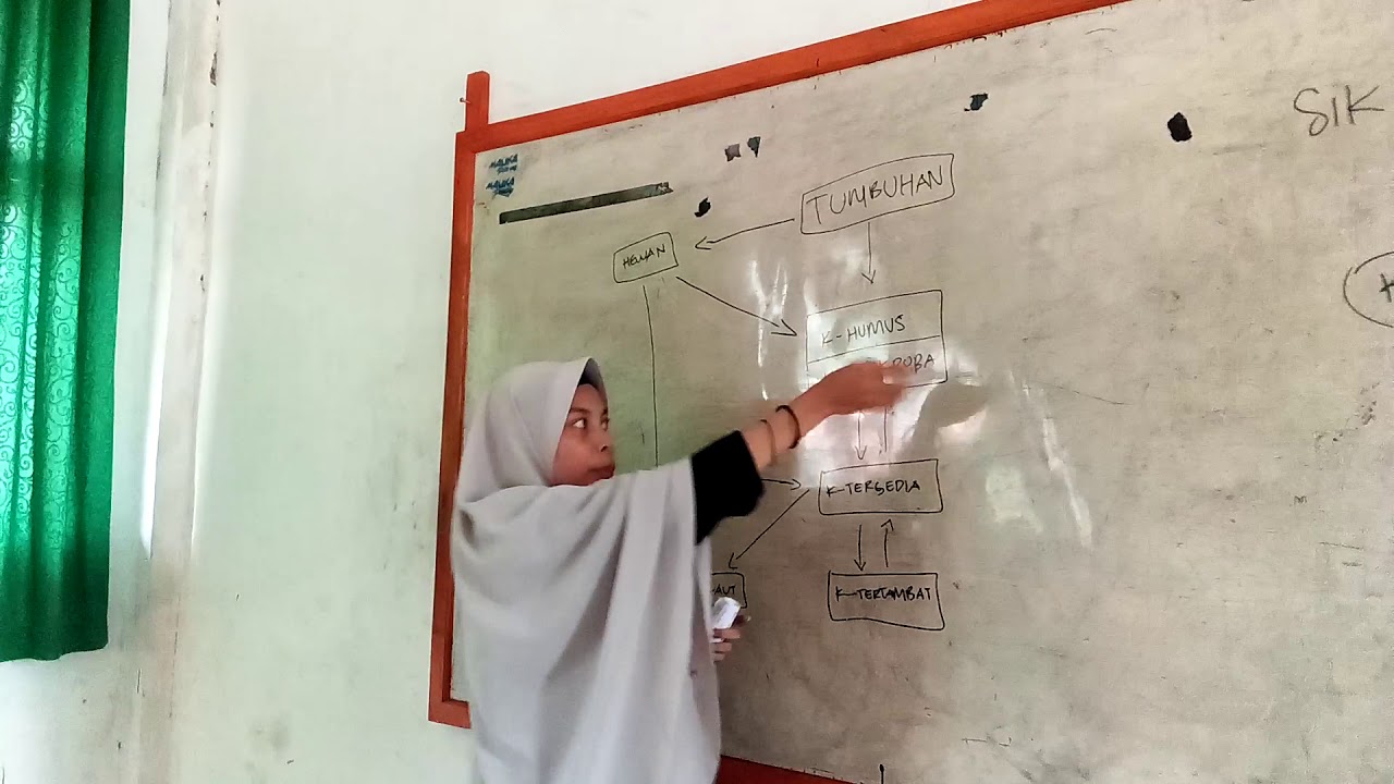 Siklus Kalium - YouTube