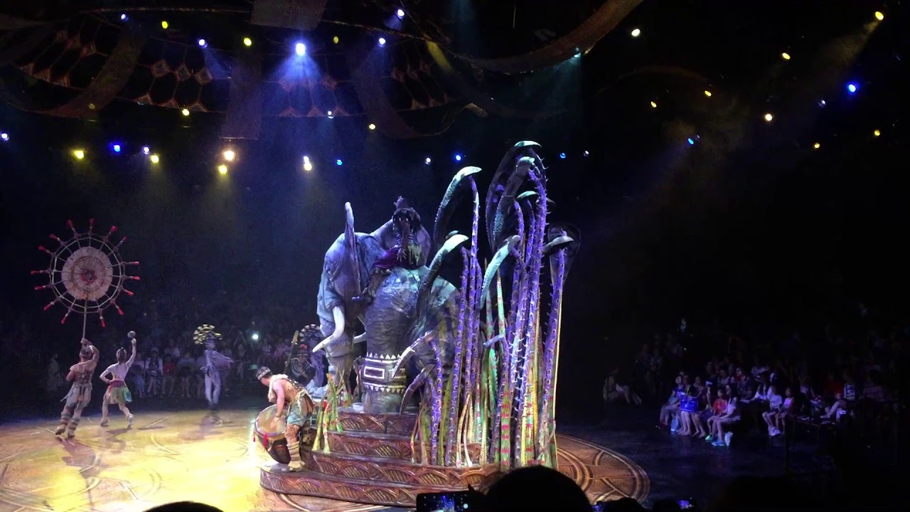 The lion show in Disney land - YouTube