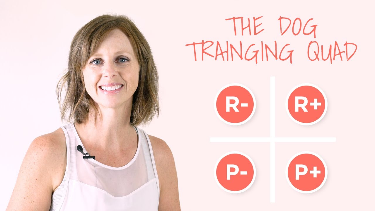 The FOUR QUADRANTS of Dog Training Explained (with Examples) - YouTube