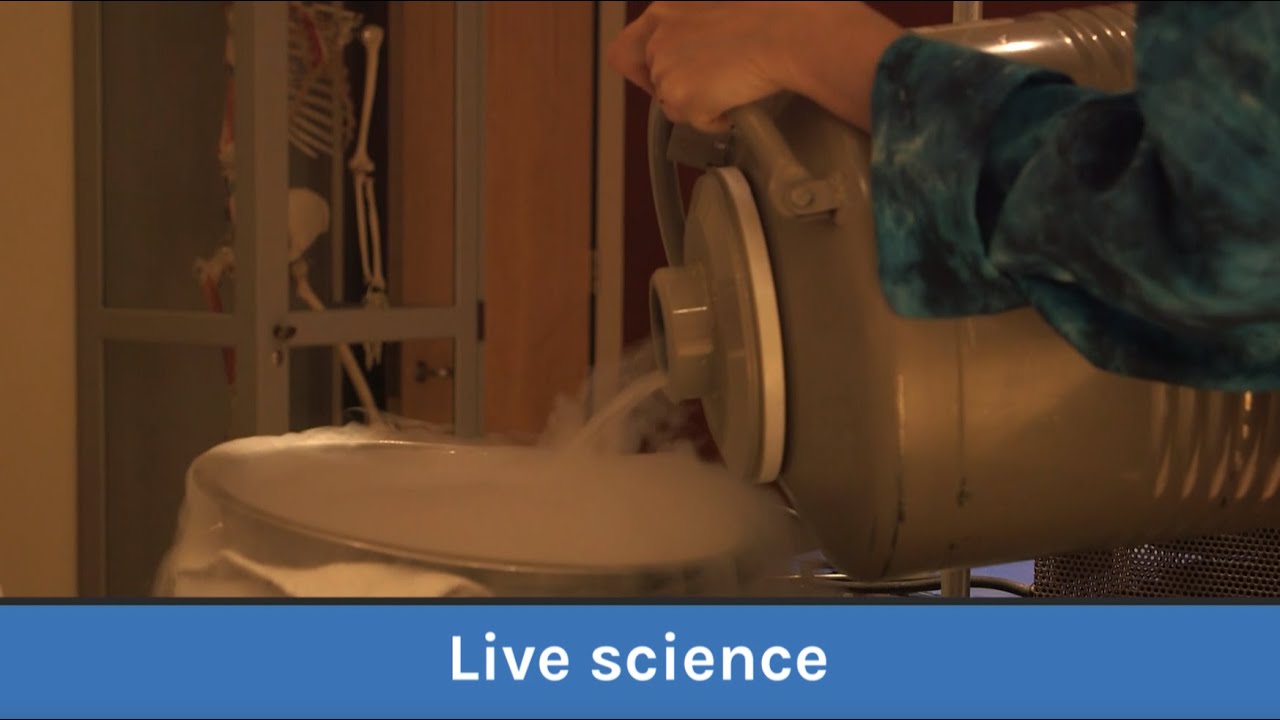 WonderLab Super Cold Science Demo - YouTube