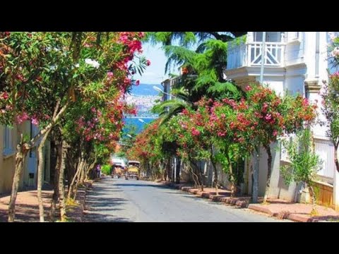 Büyük ada belgeseli