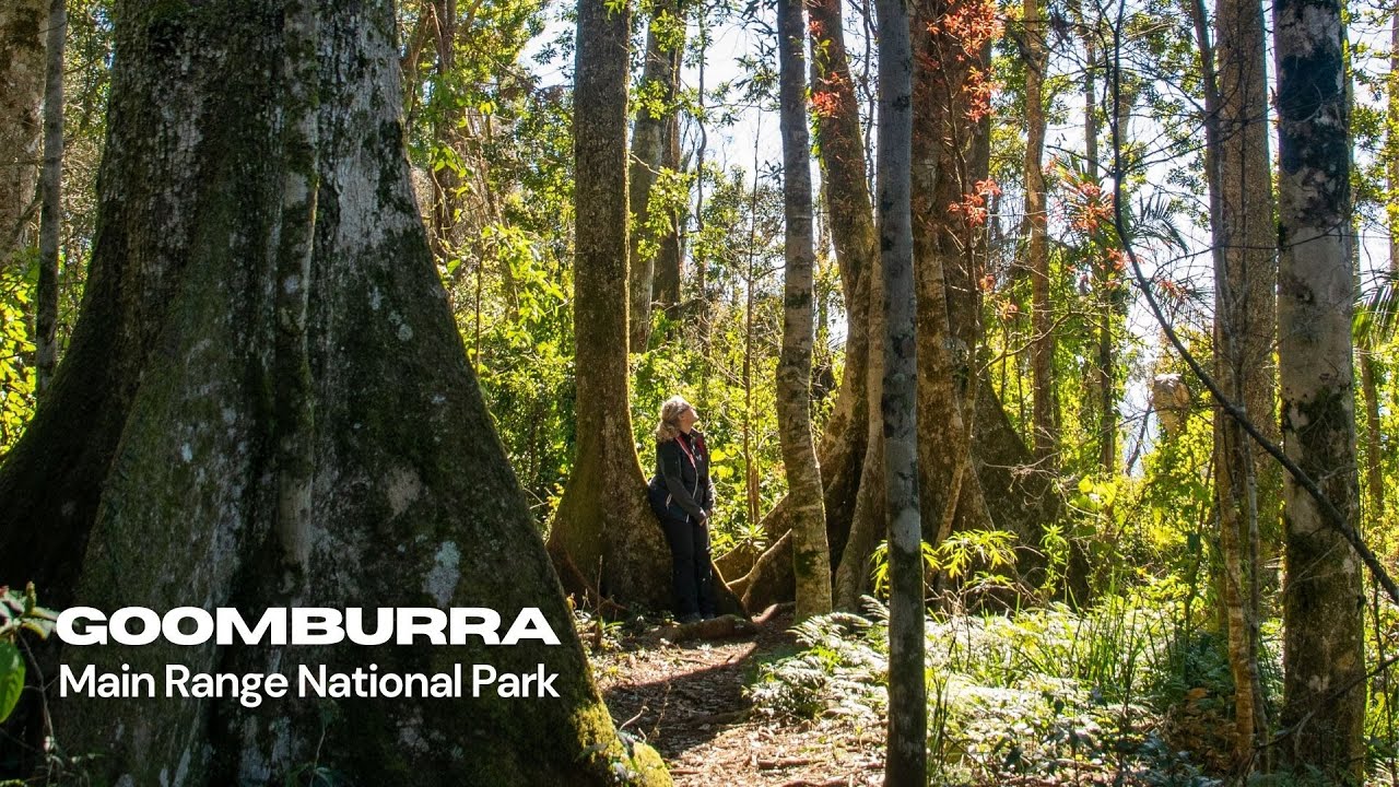 Goomburra at minus 2.5C in our Crashpad swags - YouTube