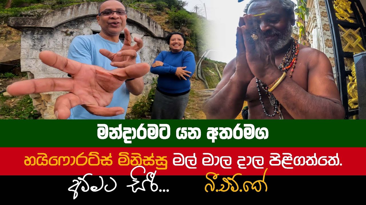 walapane Highforest To Mandaram nuwara | වලපනේ හයිෆොරට්ස් හරහා මන්දාරම් ...