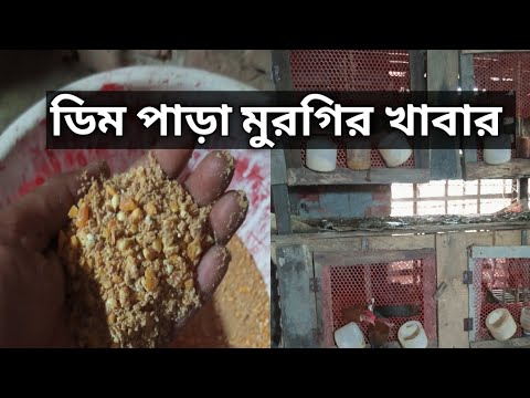 ডিম পাড়া মুরগির খাবার (dim para murgir khabar) - YouTube