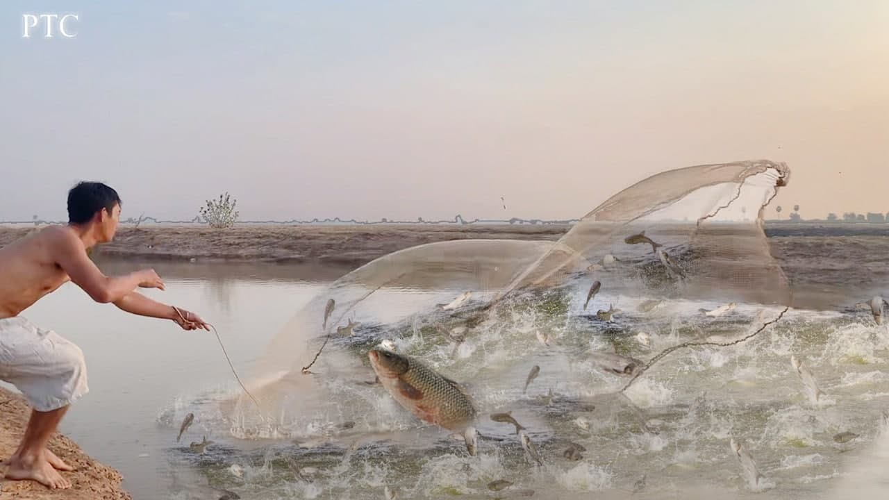 Making Stewed Fish with Tomatoes and sugar cane - YouTube