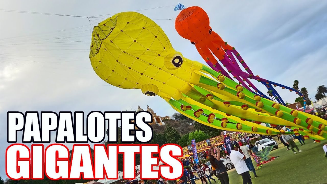 ¿El Papalote más grande del Mundo? Festival Volarte Cholula Puebla ...