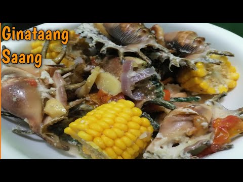 Ginataang saang seafoods | Conch shells or spider shells | Pinoy Recipe ...