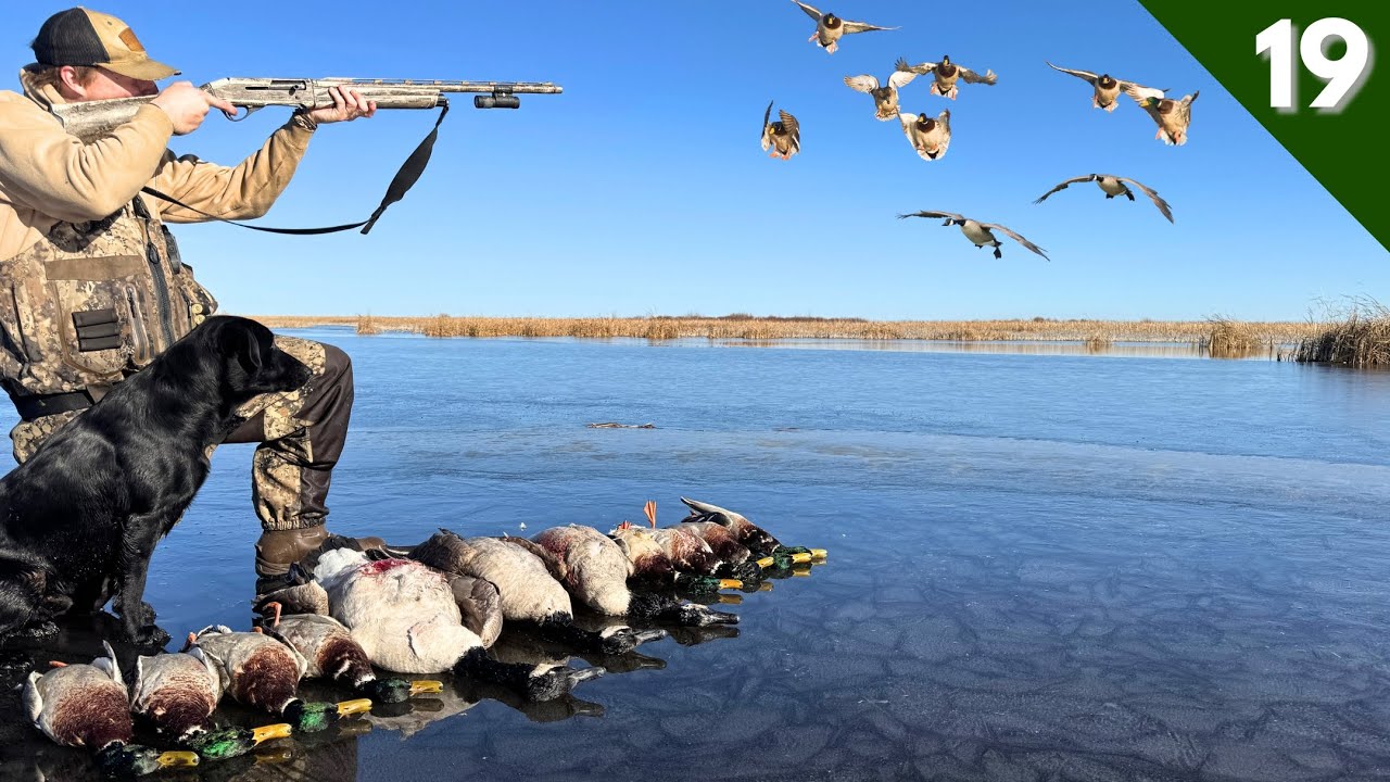 DUCK HUNTING A 10 Yard Wide ICE HOLE | Tight Decoying MALLARDS - YouTube
