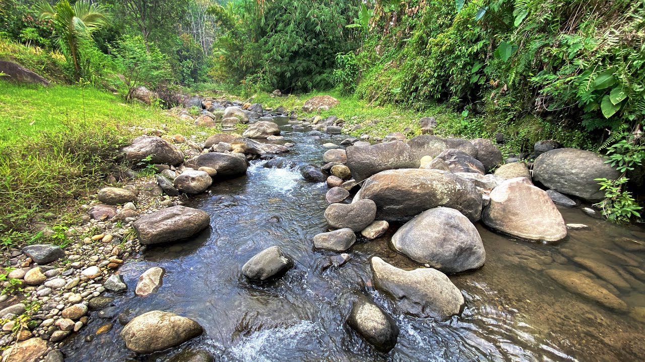 Beat Fatigue With Calming River Sounds For Instant Sleep - Peaceful ...