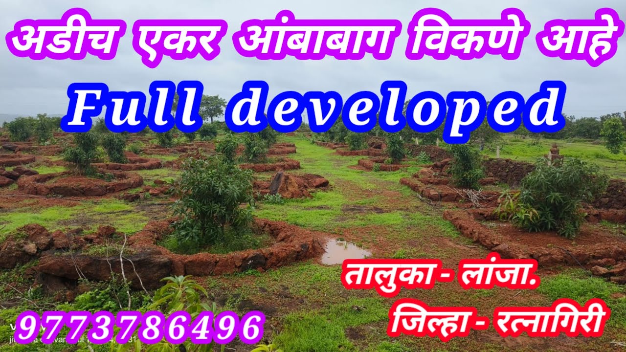 Hapus Mango Farm Sale in Ratnagiri 2.5 acers - YouTube