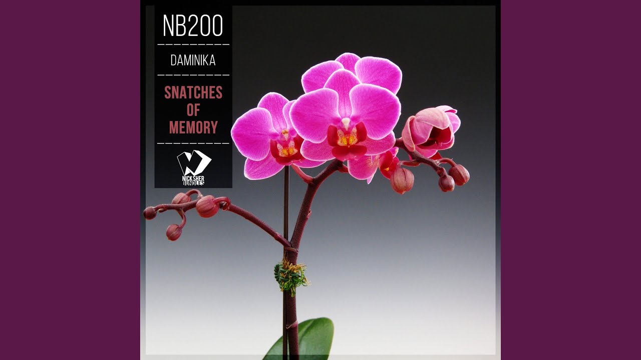 Into Smithereens (Original Mix) - YouTube