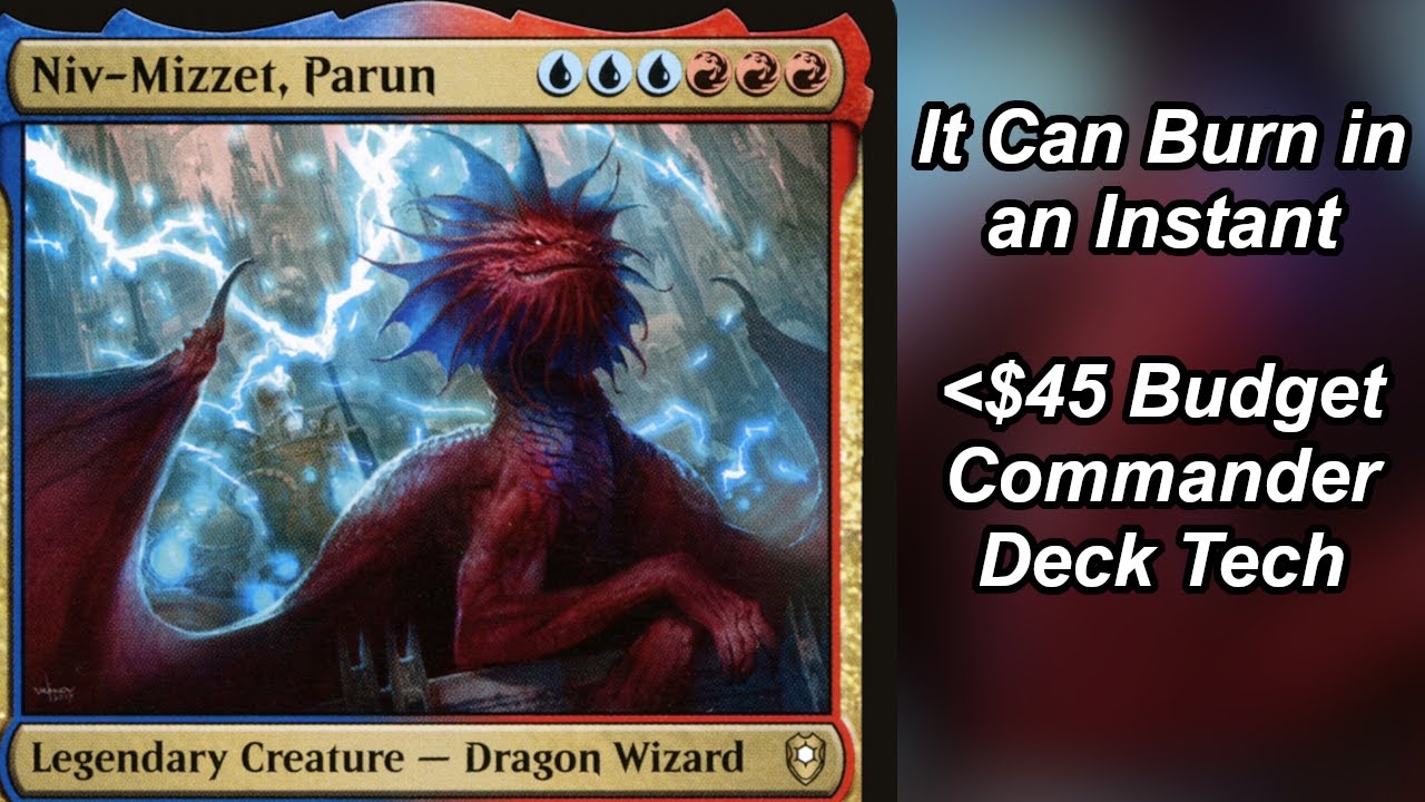 Niv-Mizzet, Parun Budget Commander Deck | MTG - YouTube