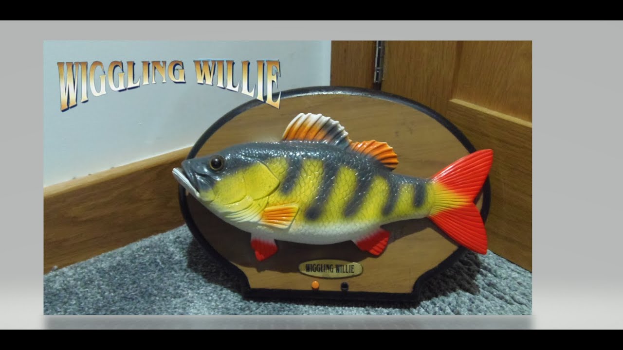 Wiggling Willie the singing fish review - YouTube