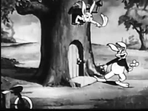 THE TIMID RABBIT - YouTube