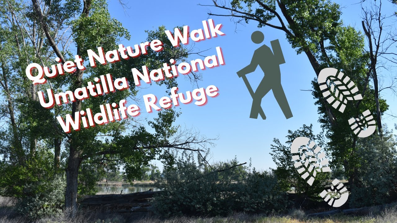 Oregon Hikes. Umatilla Wildlife Refuge. Quiet Nature Walk Under Huge ...