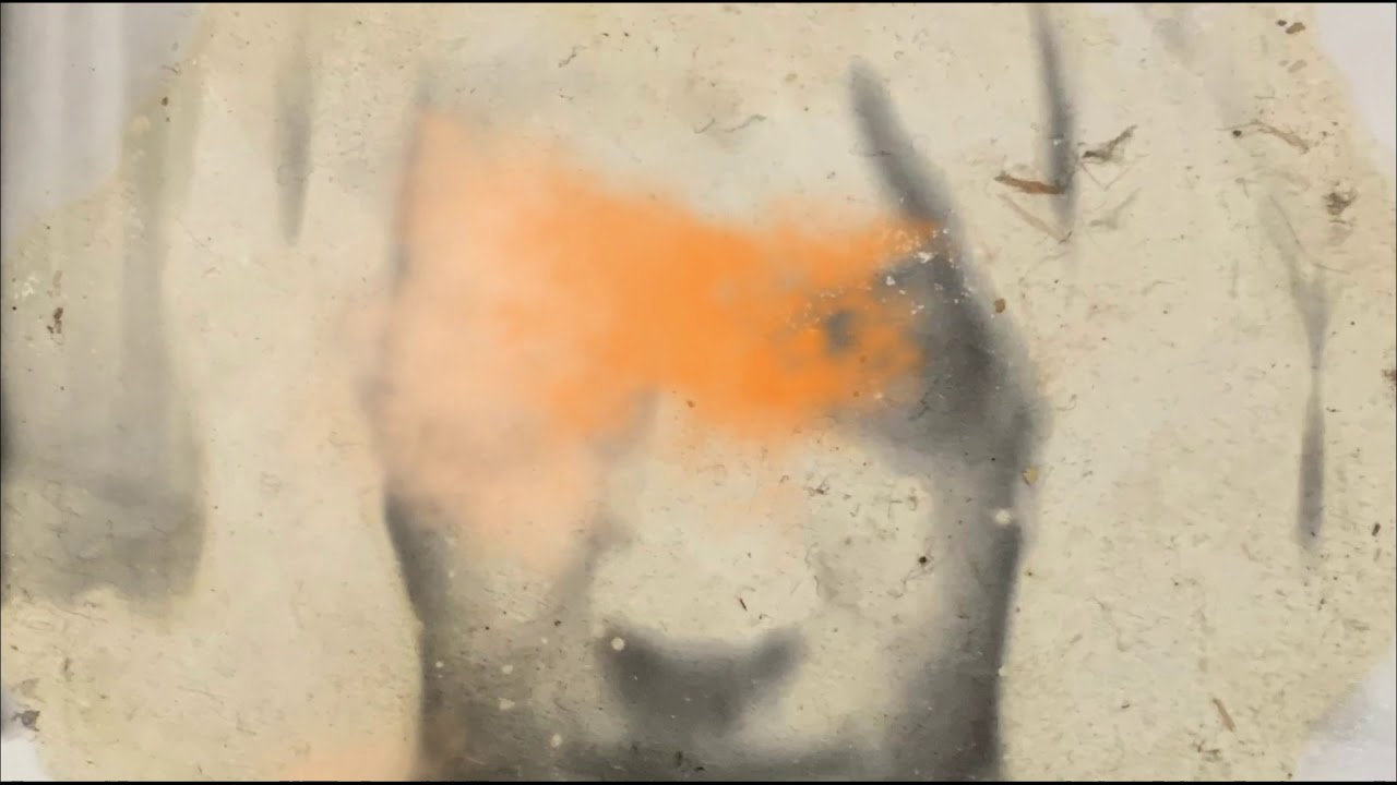 pd watson - 4 - btybf - YouTube