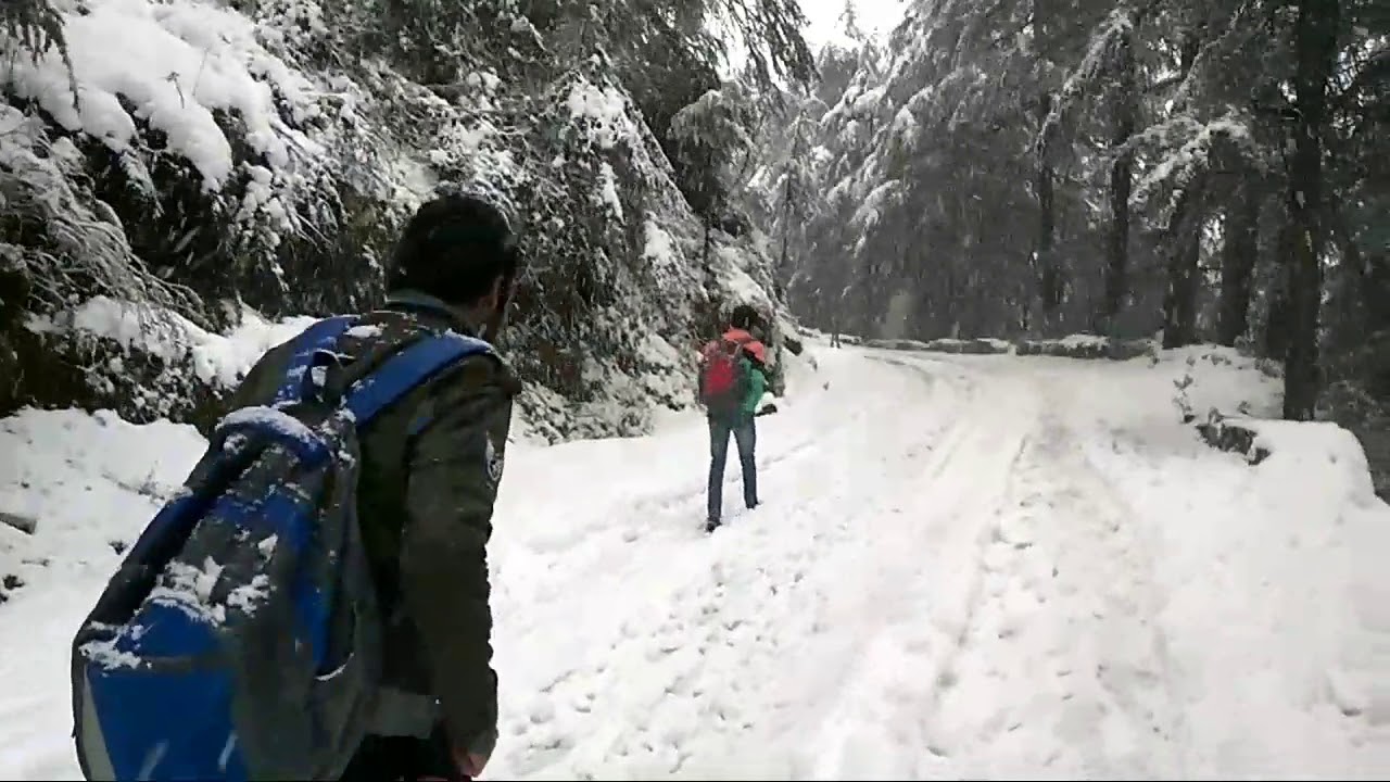 Snowfall At Chail - Himachal Pradesh - YouTube