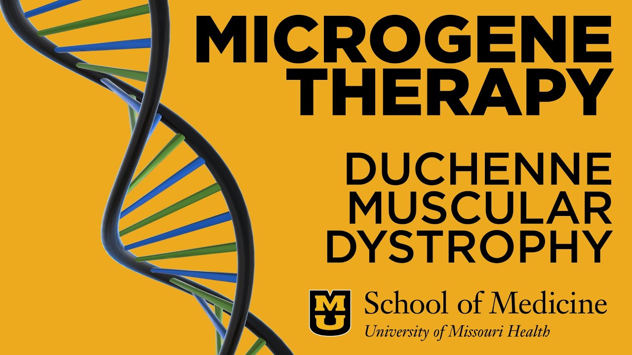 Duchenne Muscular Dystrophy - Virus Delivers Microgene Therapy - YouTube