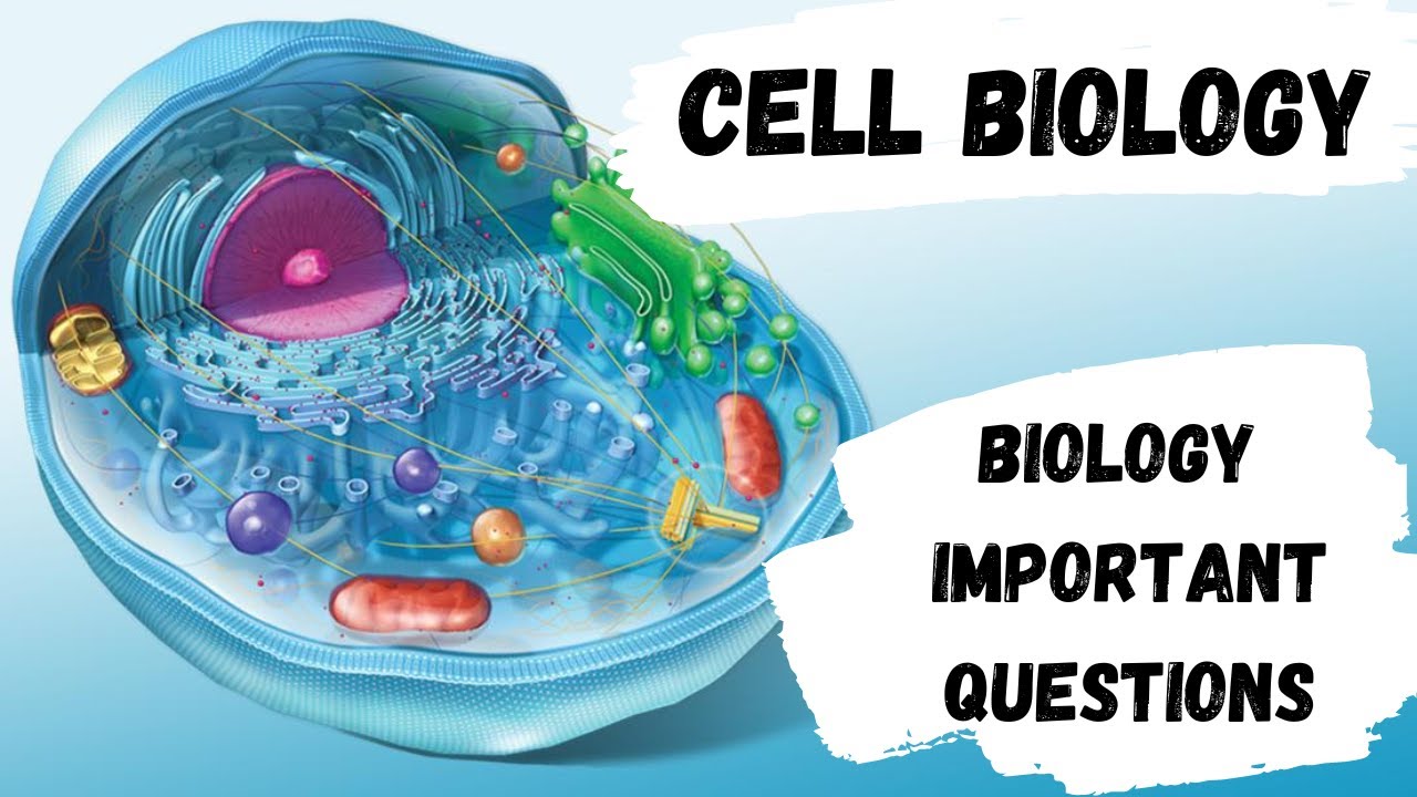 Cell Biology Questions & Answers || Cell MCQs Questions | Cell Biology ...