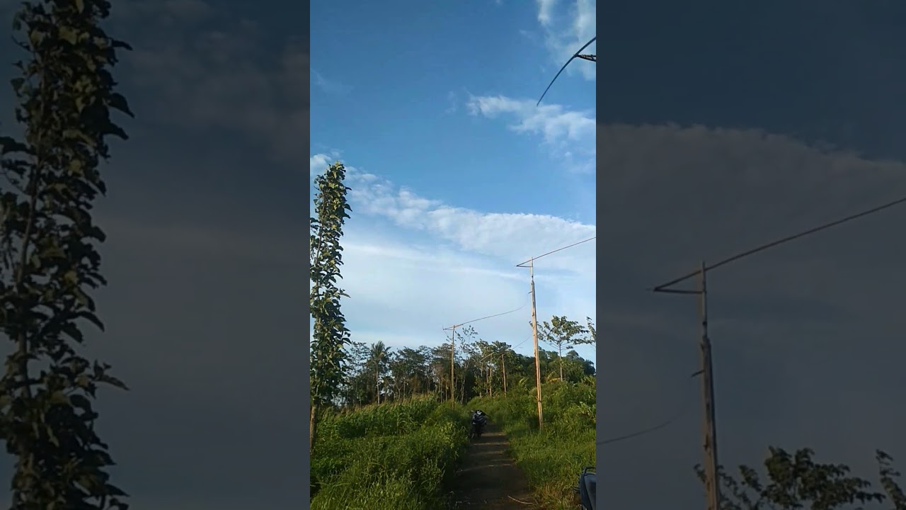 Kokoleceran - YouTube