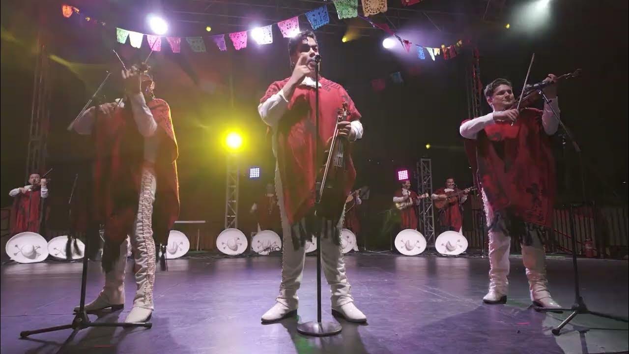 El Burrito Sabanero - YouTube