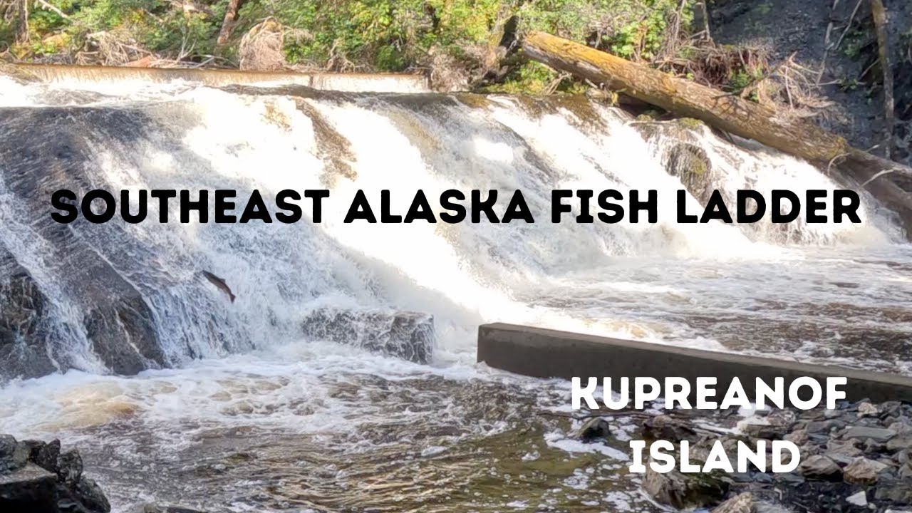 S1E14 ATV Adventure to Remote Alaskan Fish Ladder - YouTube