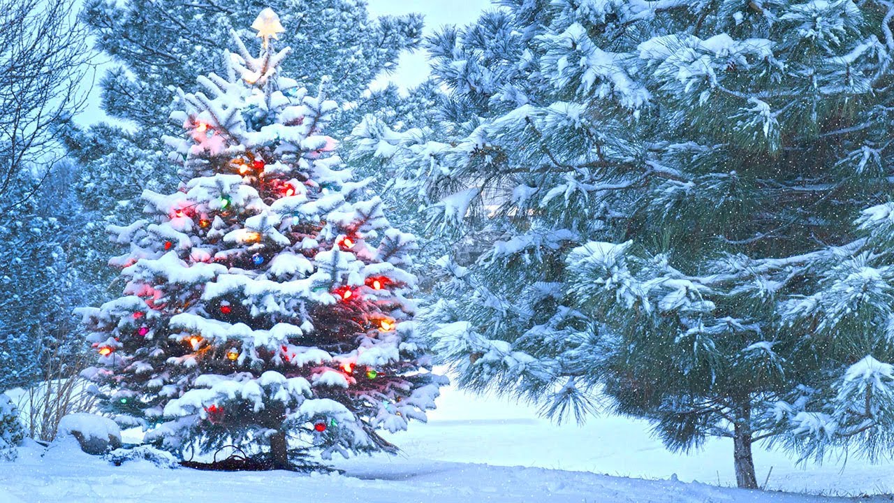 Christmas Tree Screensaver - 1 Hour Winter Snowfall 4K Screensaver with ...