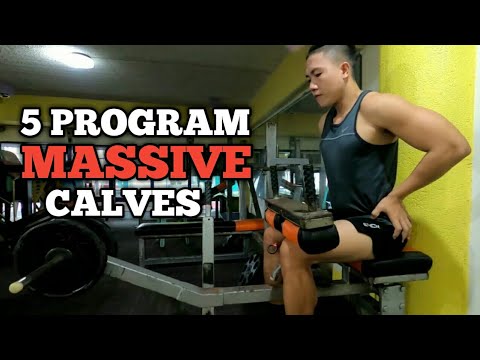 CALVES/ 5 PROGRAM - YouTube