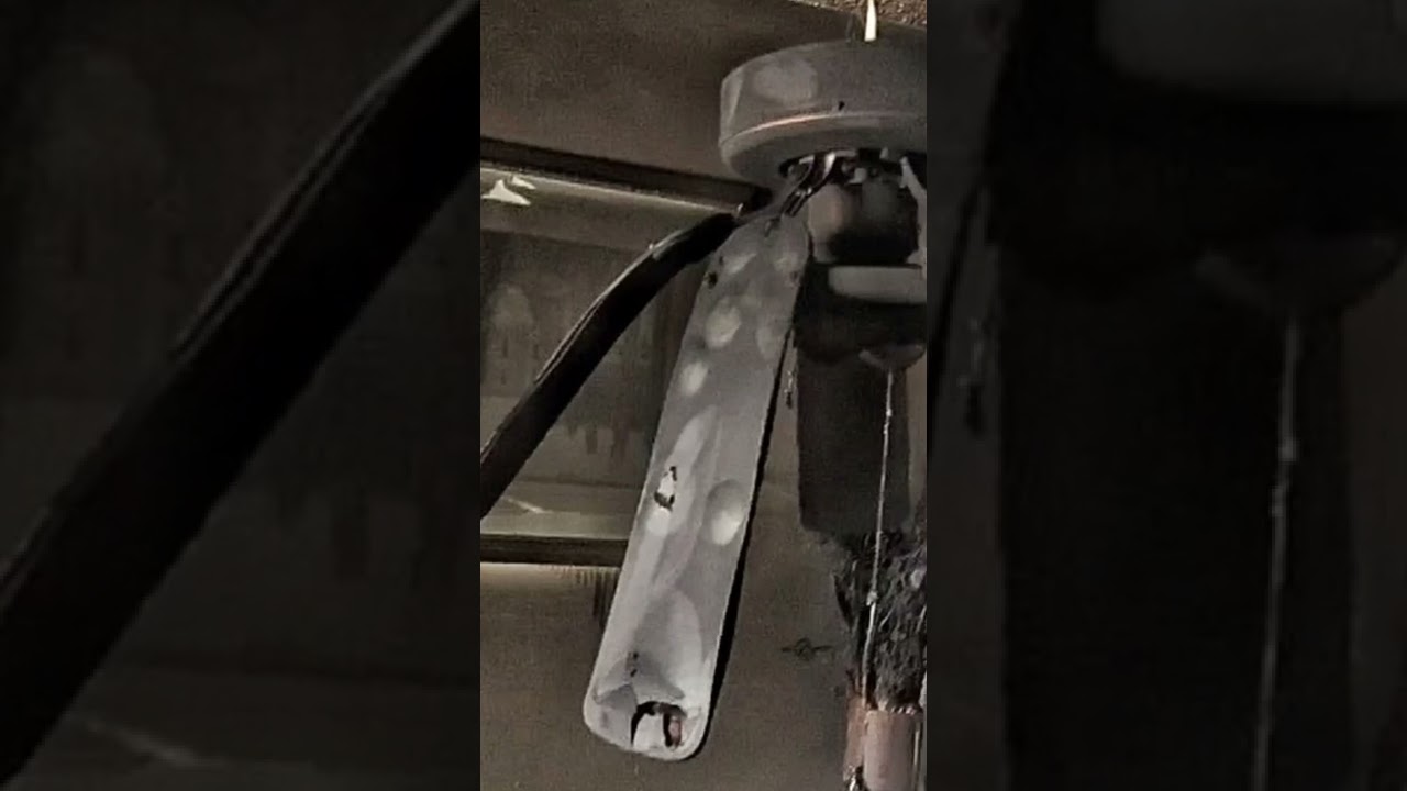 sad ceiling fan - YouTube