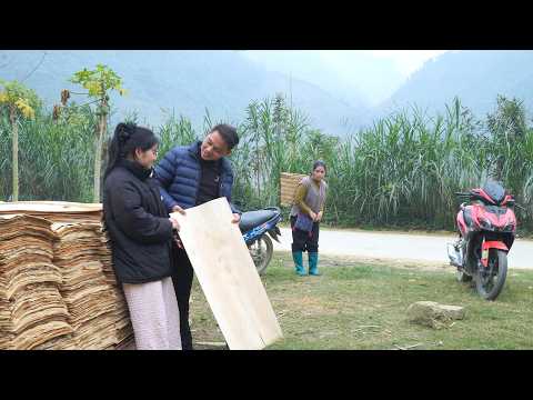 Linh gerçekten Tu Sa’yı yeni bir aşk için terk etti mi — yoksa büyükannesinin zorlaması mı?