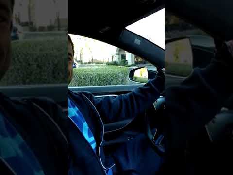 Tesla Fireplace Feature (Romance Mode) - YouTube