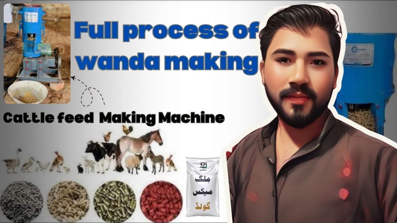 Cattle feed making process | Animal feed making mashine | easy full ...
