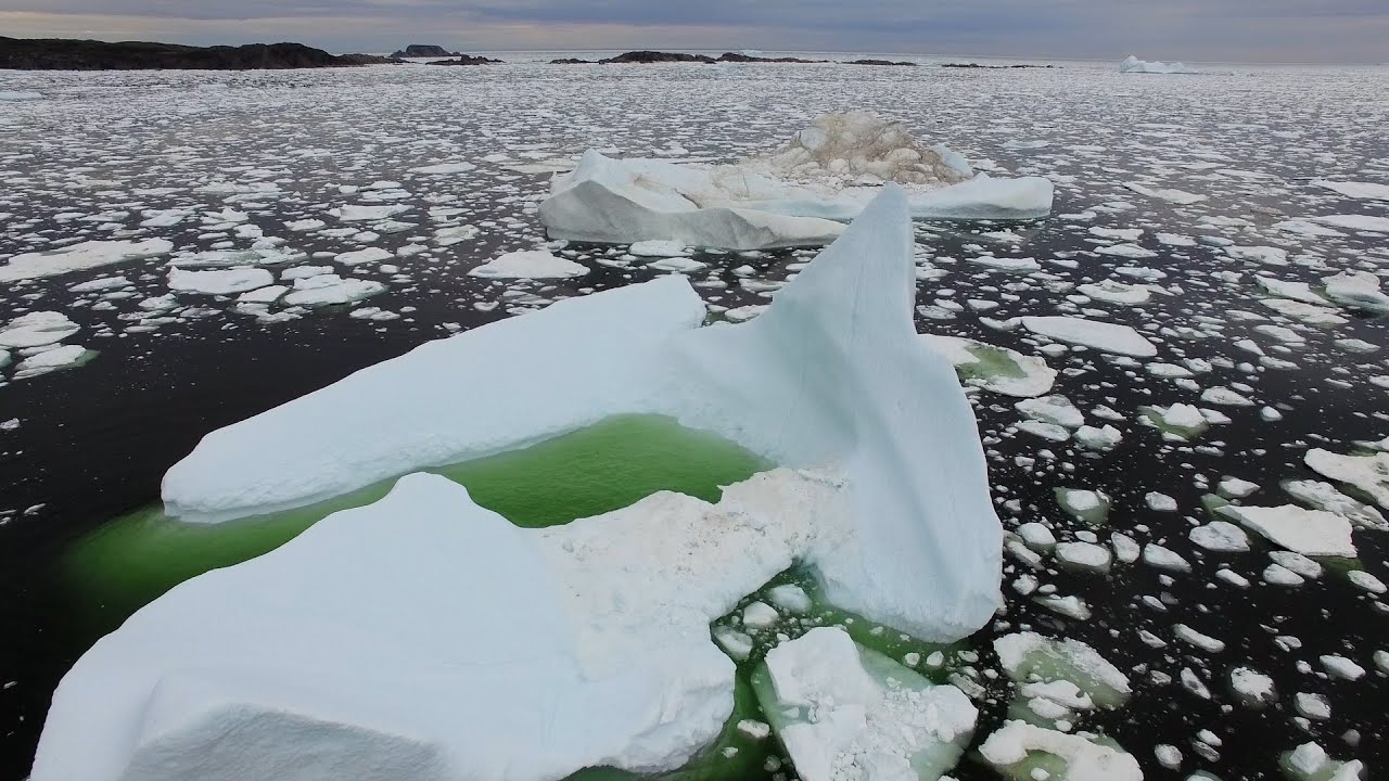 Ice melts to reveal a beautiful spring in Newfoundland | # ...