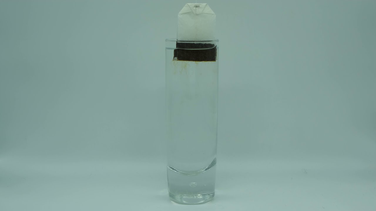 Tea Bag Diffusion Time-Lapse - YouTube